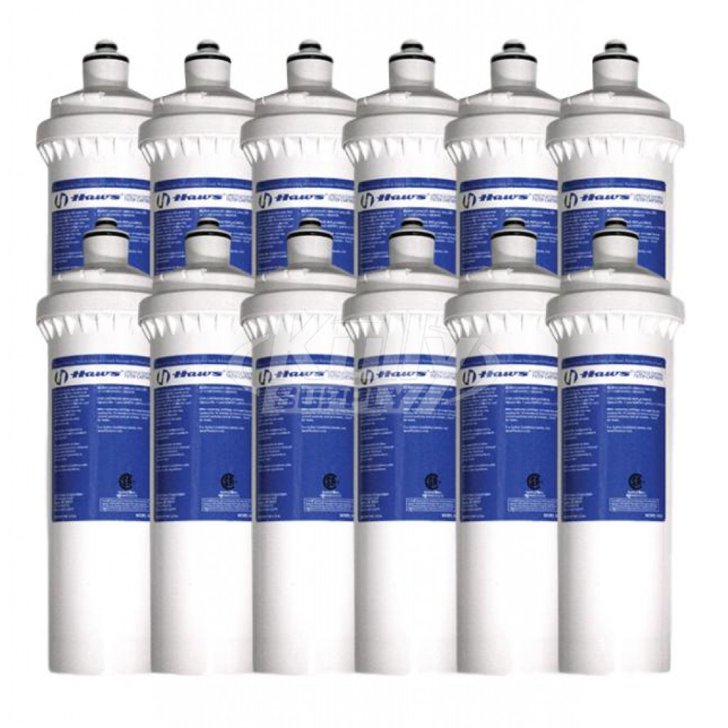 Haws 6428-C 12PK Drinking Fountain Replacement Filter-12 Pack ...